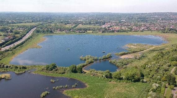 Tice’s Meadow Bird Group: Why we strongly object to McDonald’s drive ...