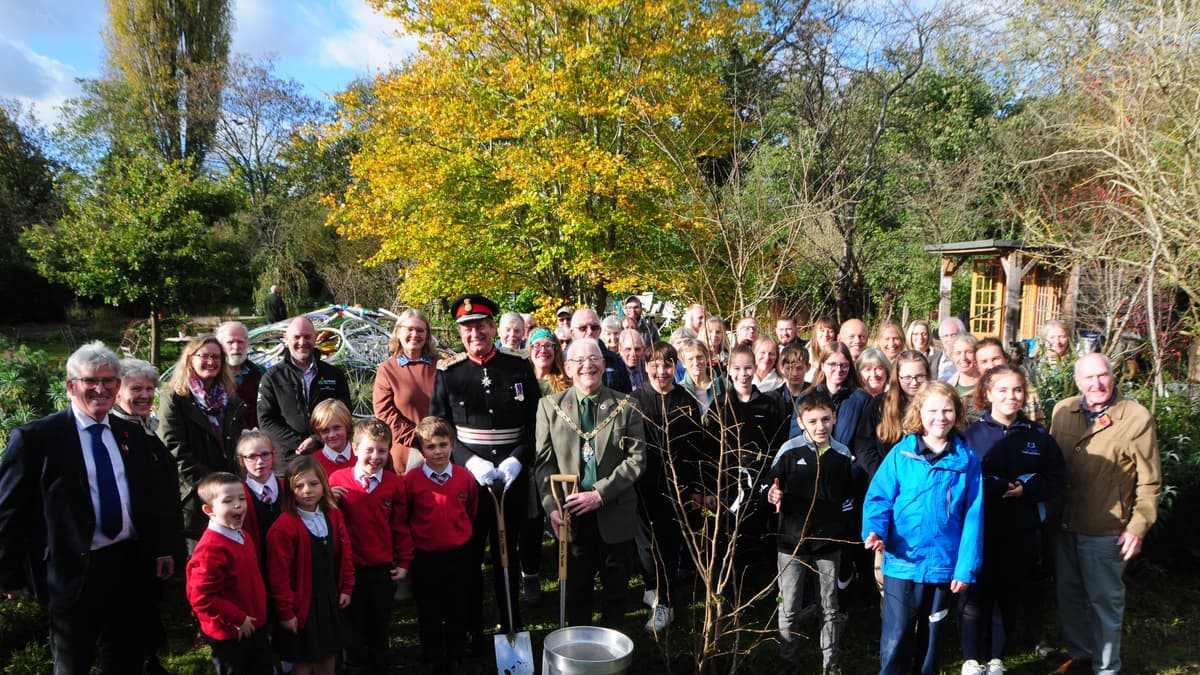 Secret Farnham garden ‘thrilled and proud’ to receive tree from Queen’s ...