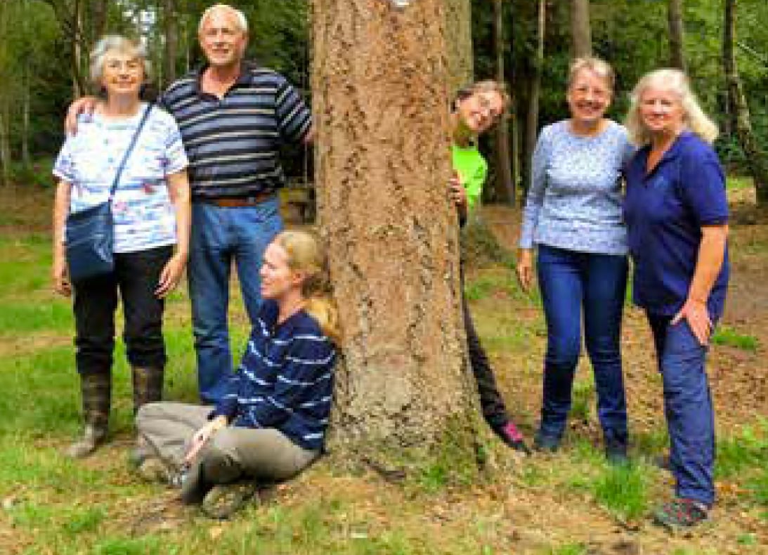 Dementia-friendly Alton branches out into Alice Holt Forest ...