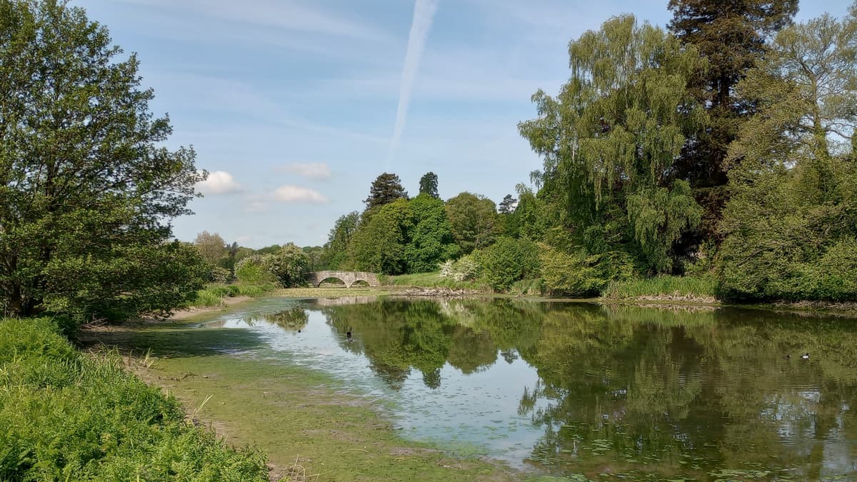 The fishy tale of local beauty spot's disappearing lake is solved ...