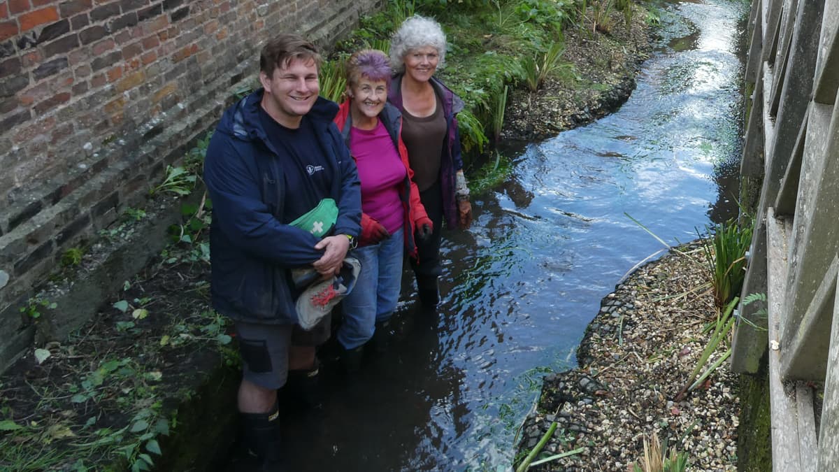 Alton sees fish return to urban section of River Wey | altonherald.com