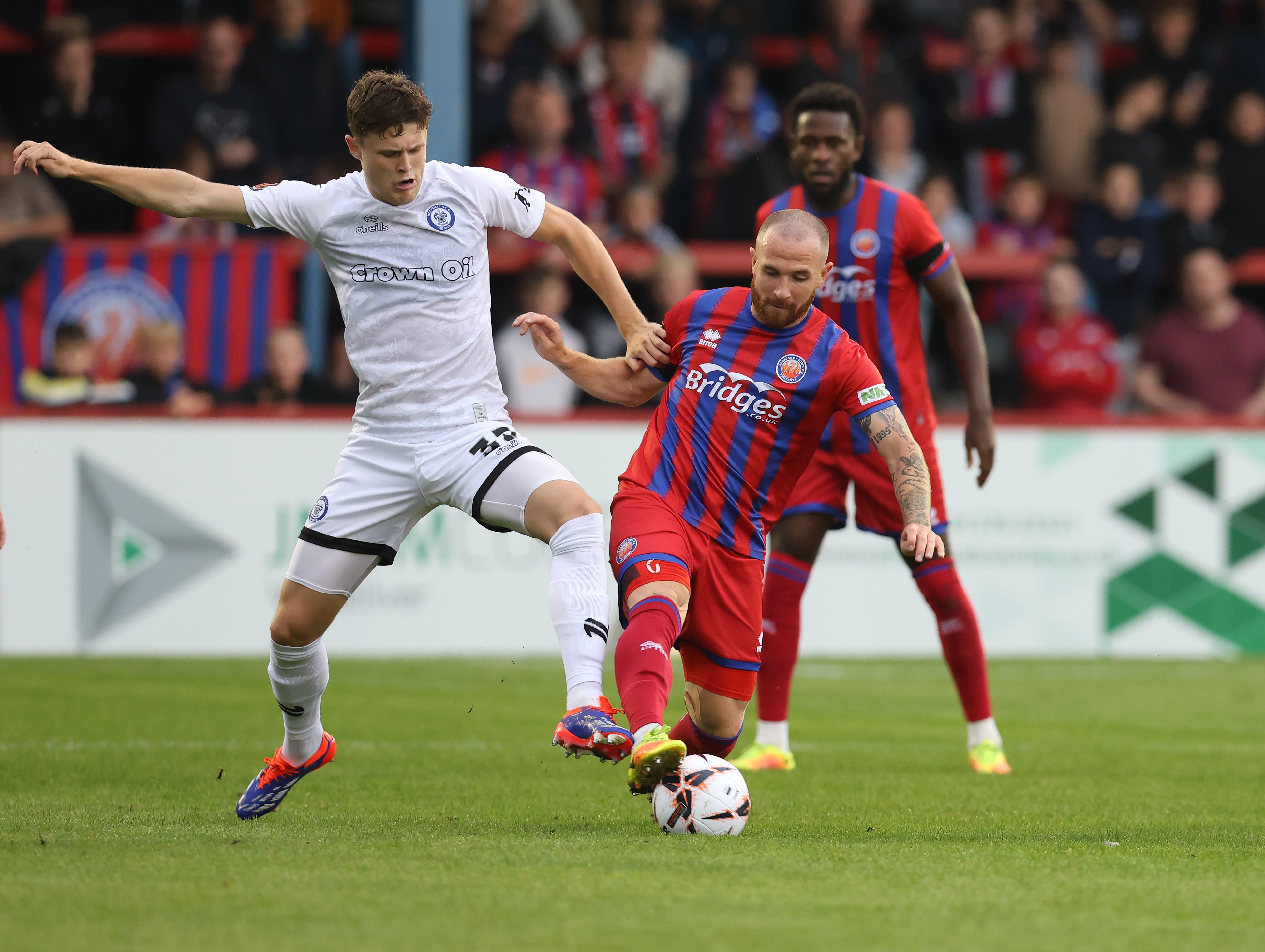 Shots slip to National League defeat against Dale | altonherald.com