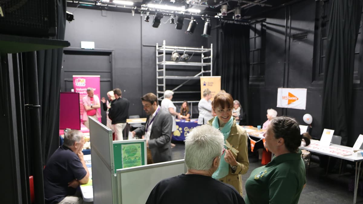 All the fun of the volunteering fair coming to Alton | altonherald.com