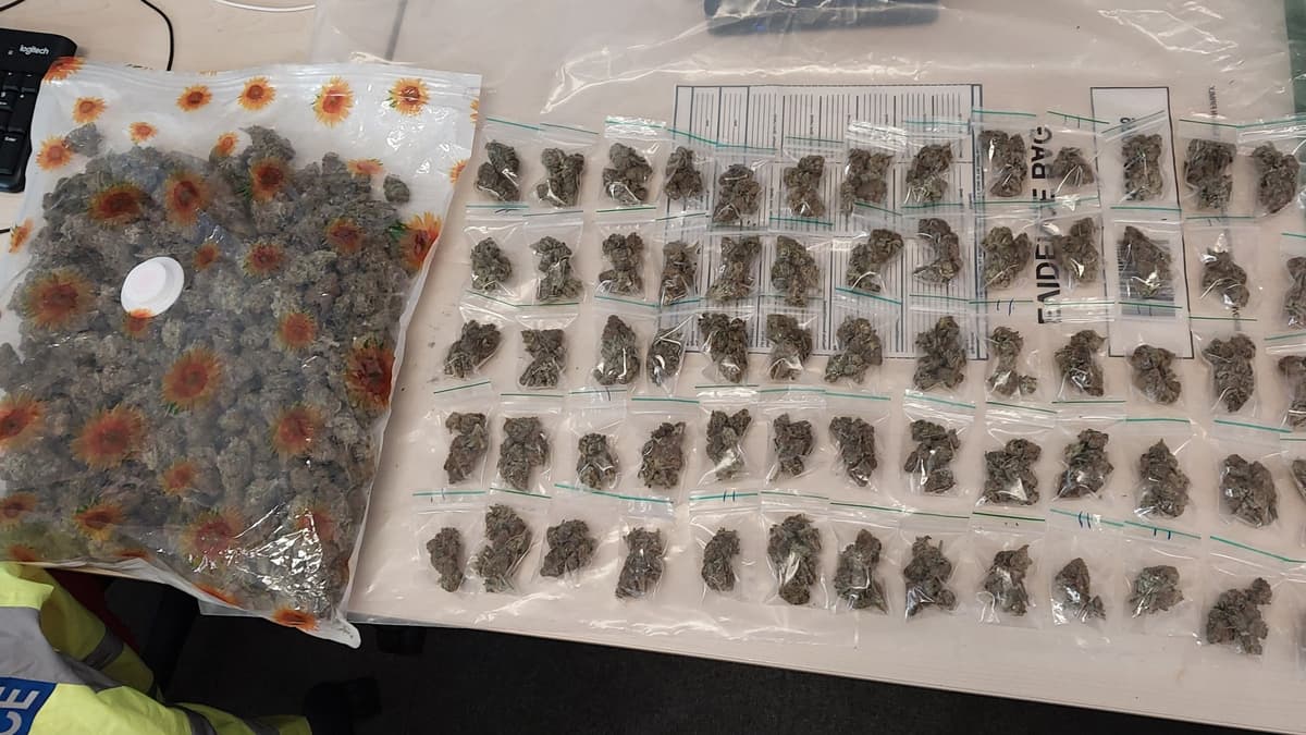 Police take £15,000 worth of drugs off streets of Alton | altonherald.com